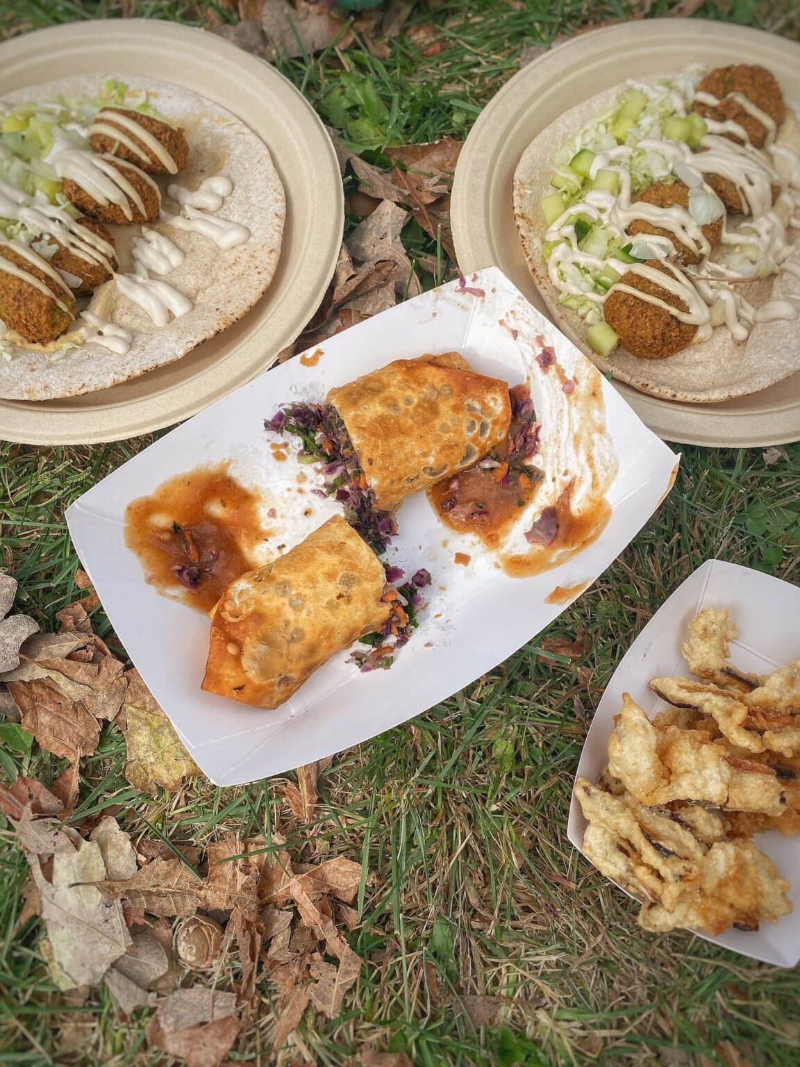 Join Me For a Fun-Filled Day at the Maine Common Ground Fair! - Molly ...