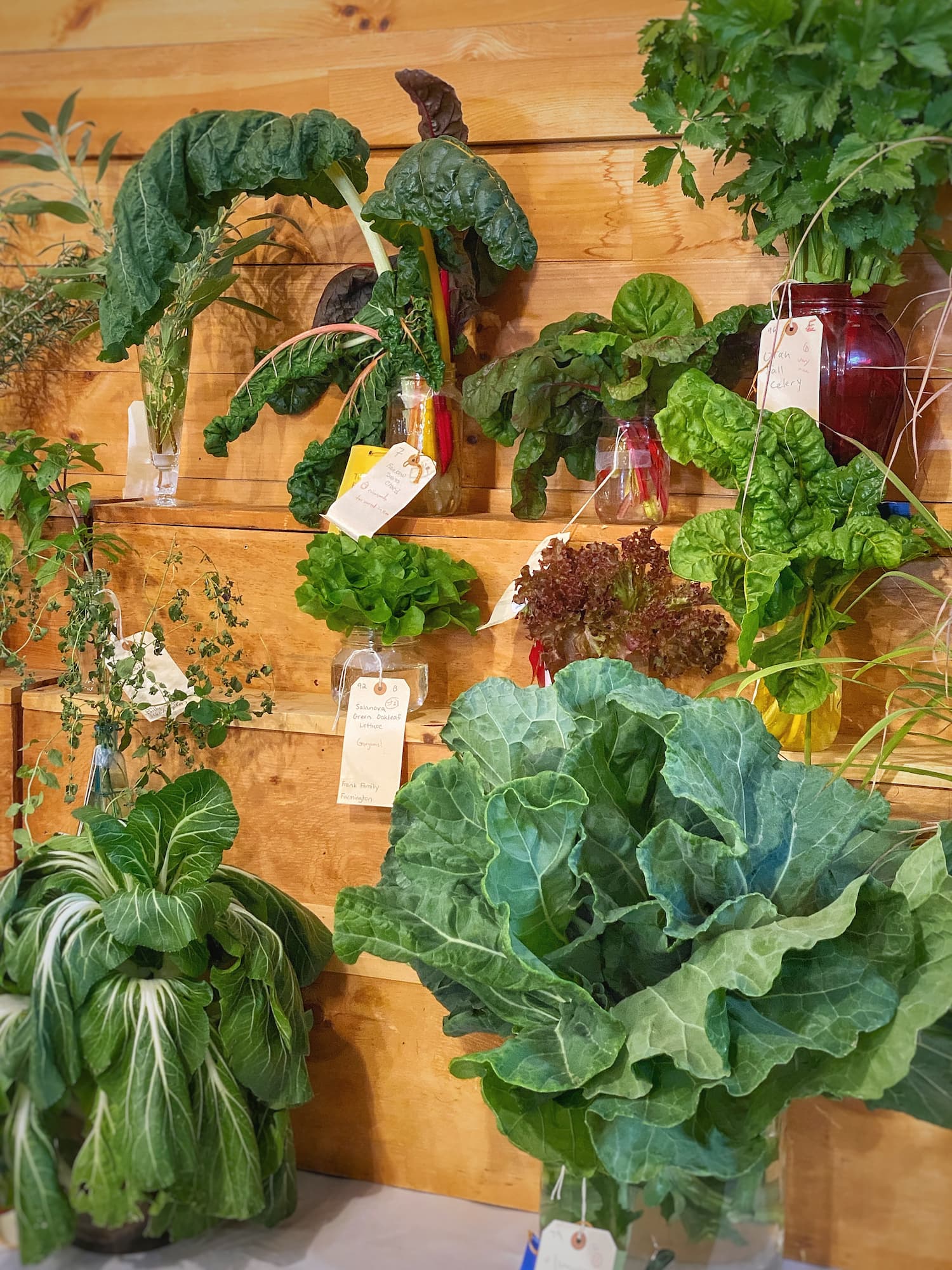 Join Me For a Fun-Filled Day at the Maine Common Ground Fair! - Molly ...