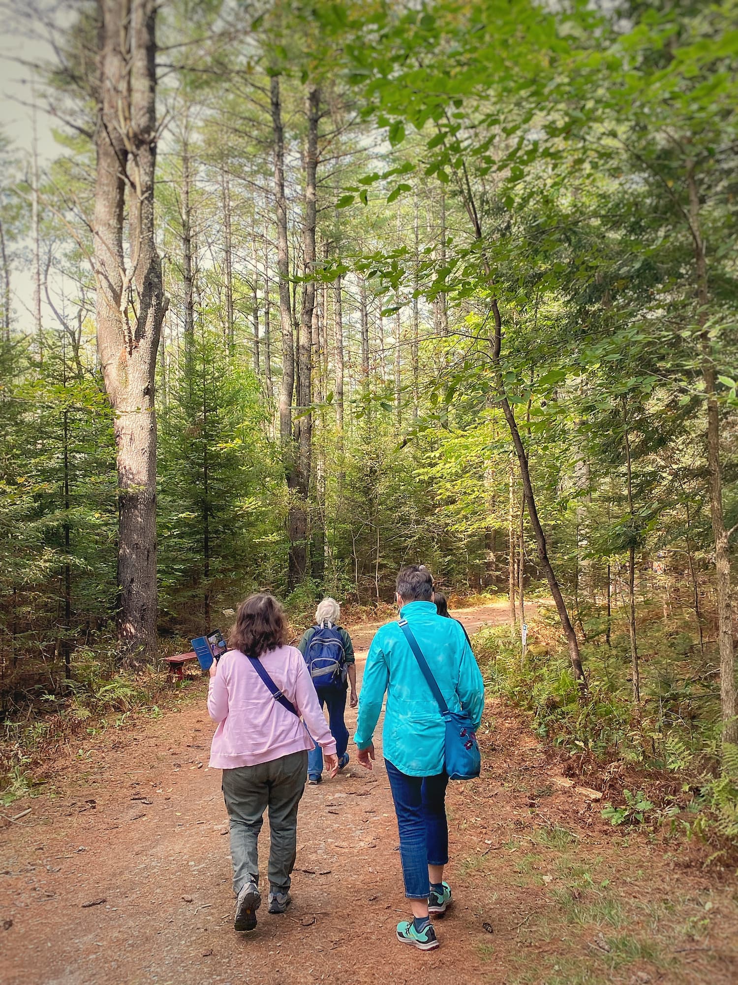 Join Me For a Fun-Filled Day at the Maine Common Ground Fair! - Molly ...