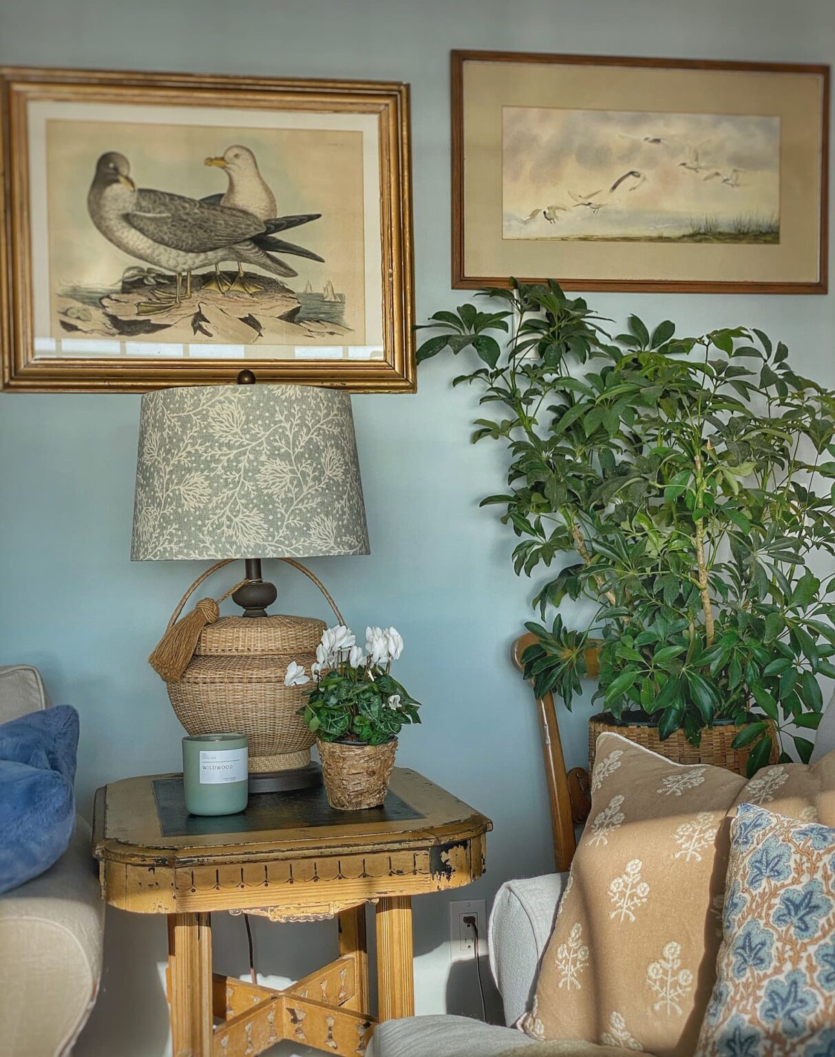 My February Home | Clean, Fresh and Bright, But Still Cozy - Molly in Maine