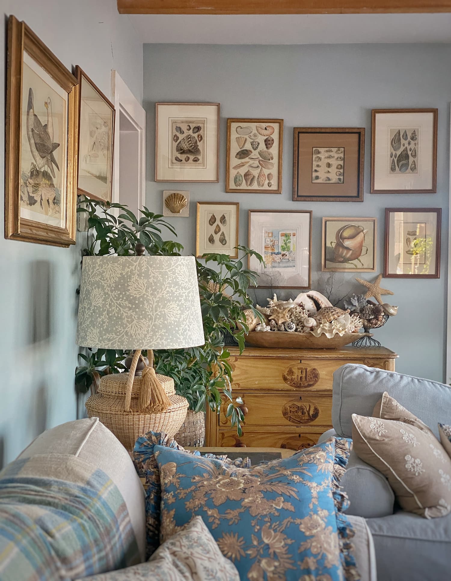 Vintage and Antique Prints Add Character and History to My Home - Molly ...
