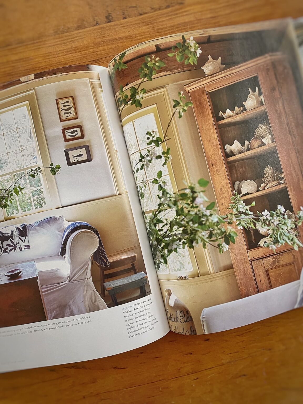 13 Favorite Home Design Books to Inspire Both Me and You! - Molly in Maine
