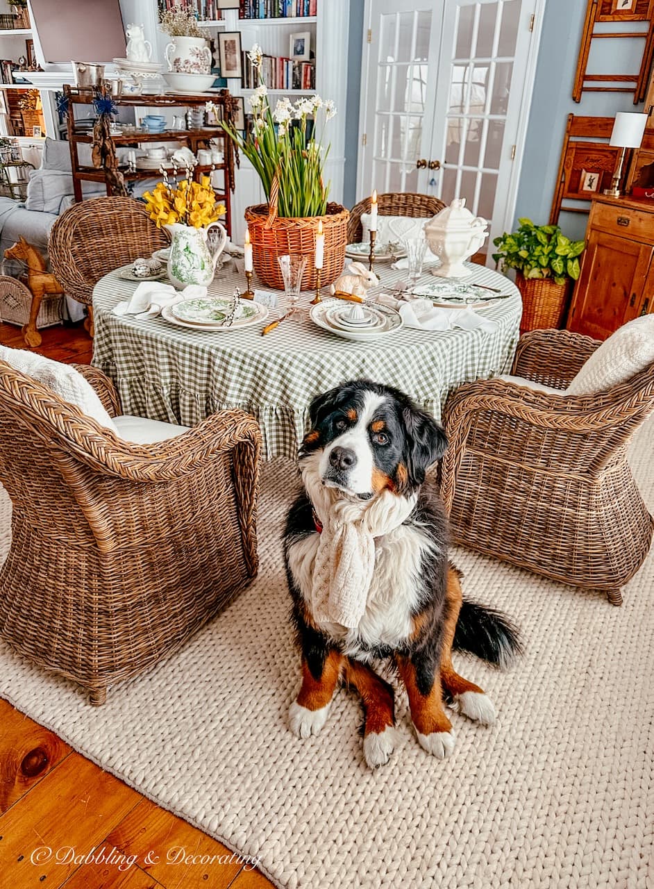 Dreaming of Spring, With a Bright-But-Cozy Table Setting - Molly in Maine