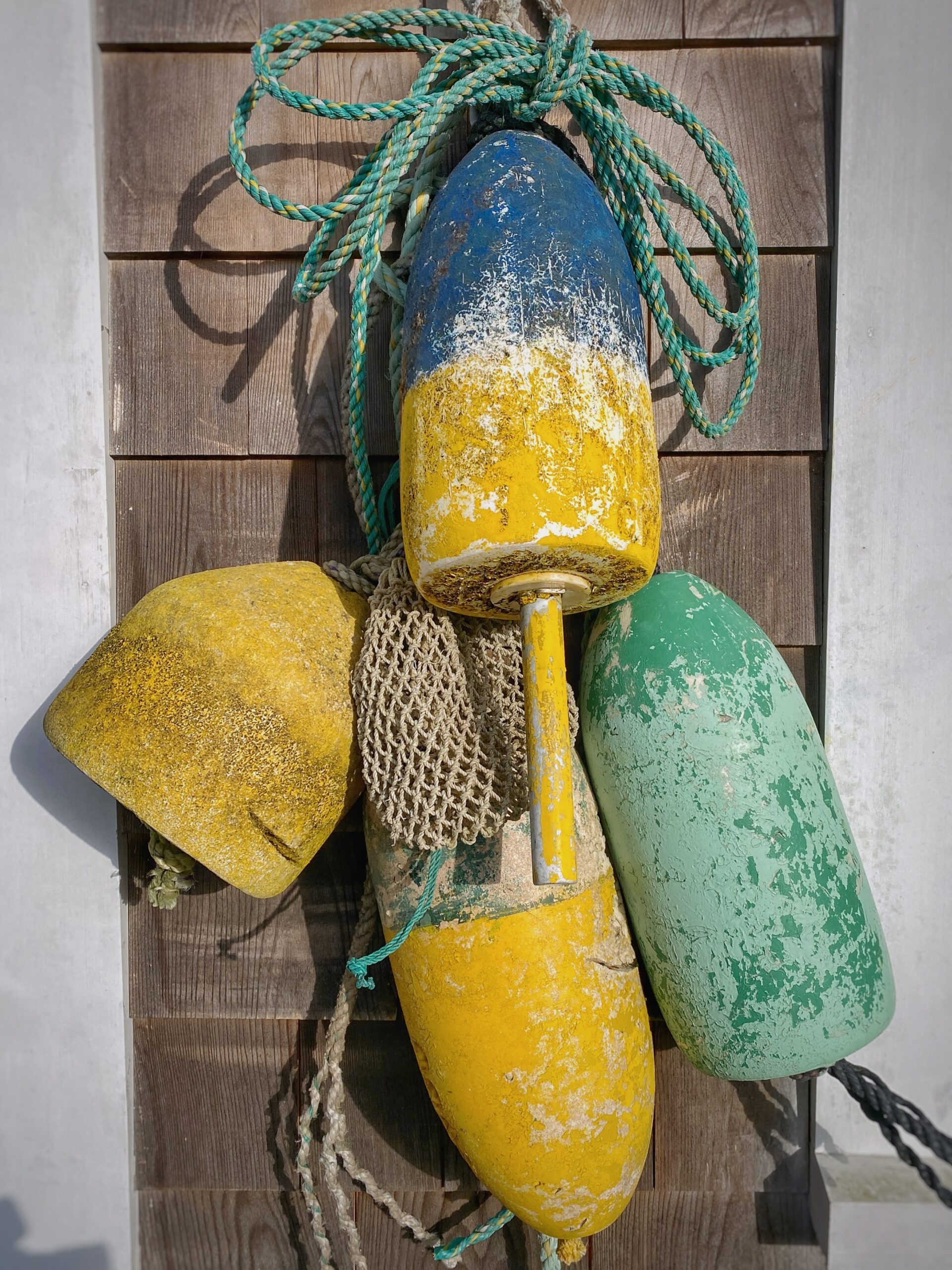 May on the Maine Coast | Blue Stripes, Bright Blooms, and Buoys - Molly ...
